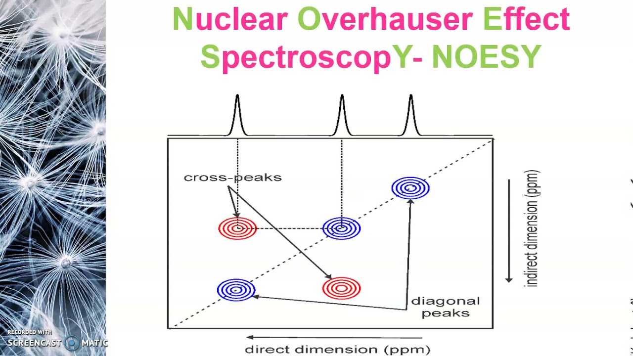 Nmr Spectroscopy At Alicia Christenson Blog