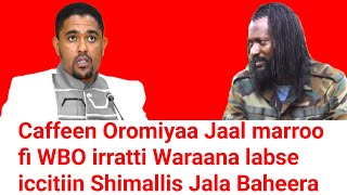 Oduu Ammee 1 1 2025 Moha Oromo Moha Oromo Mp3 Mp4 Download Clip