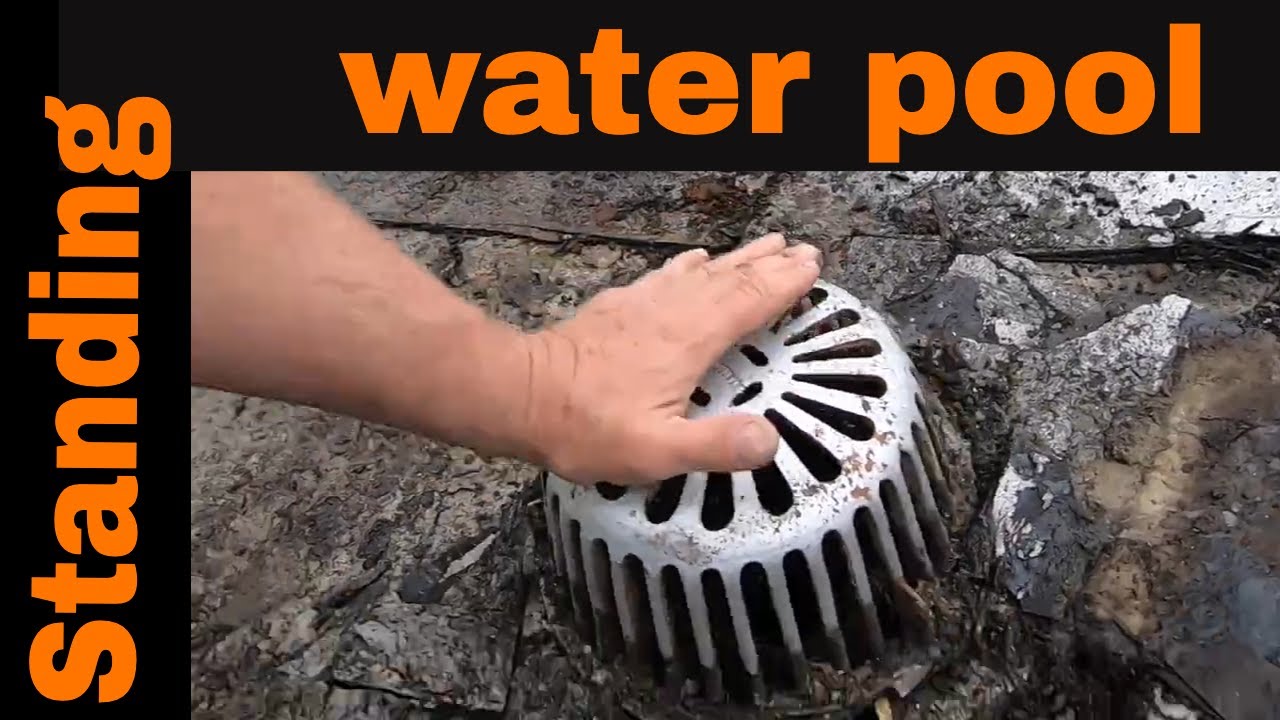 How To Remove Standing Water On A Flat Roof Bergstrom Industries