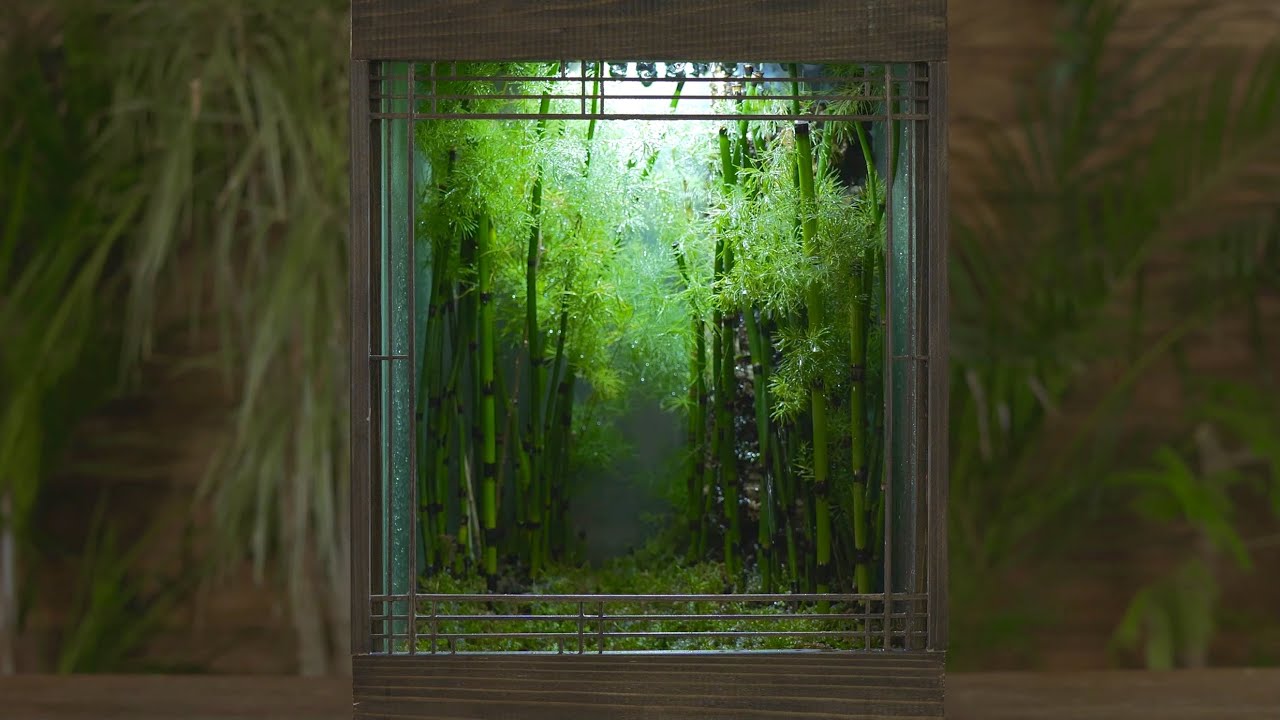 Making A Miniature Rain Garden