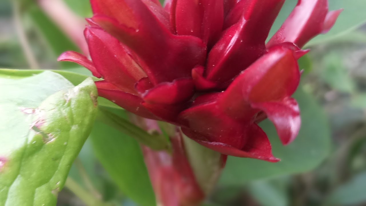 Satisfying Vedio Youtube