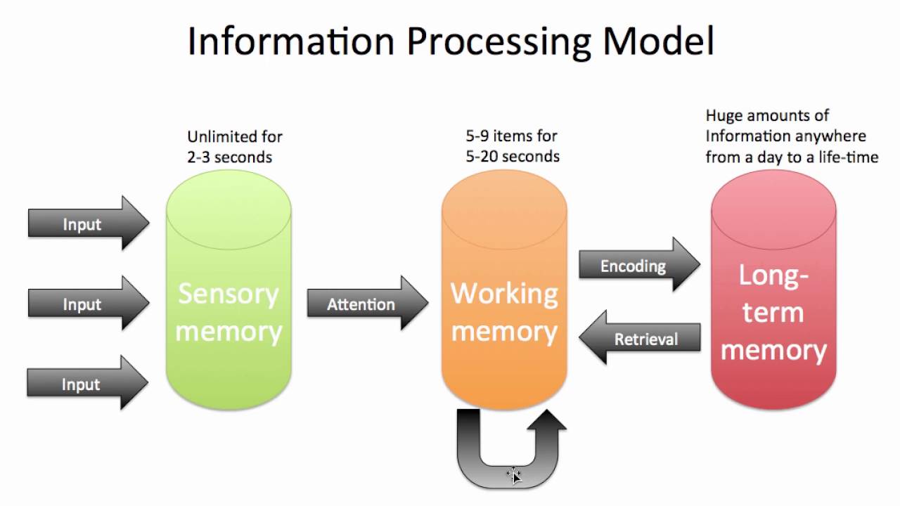 Input Processing Model
