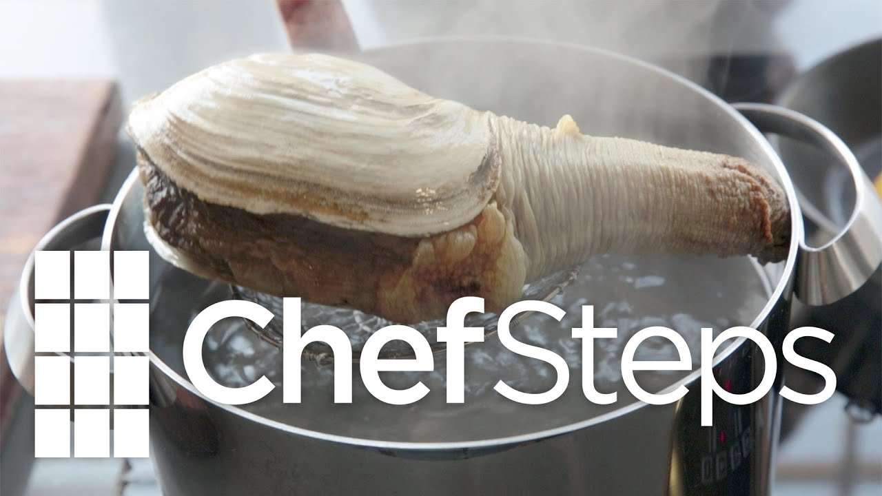 Cleaning Geoduck Youtube