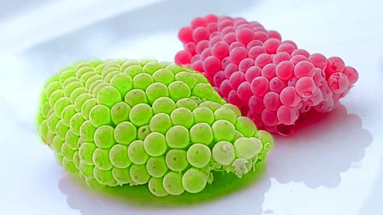 Asmr Crushed Snail Eggs Apple Snail Eggs Asmr рџђњ45 Youtube