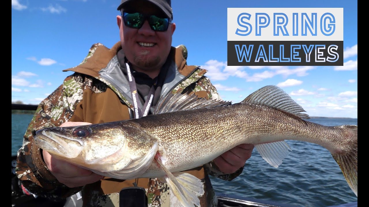Spring Post Spawn Walleye Jigging Tips Tactics Youtube
