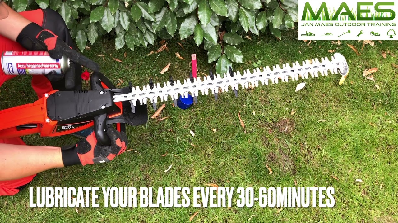 How To Oil Hedge Trimmer Blades At Clinton Long Blog