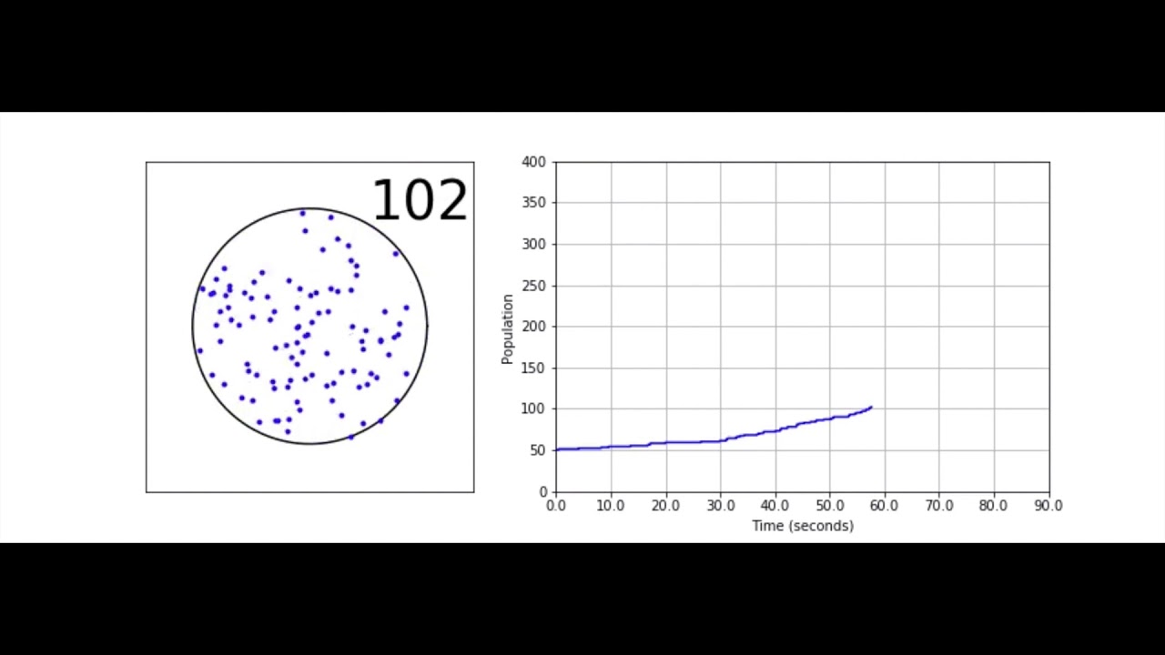 Rabbitmath Collision Growth Youtube
