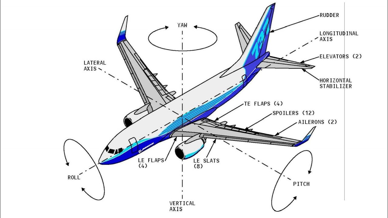 Aircraft Primary Flight Controls At Iva Blackburn Blog