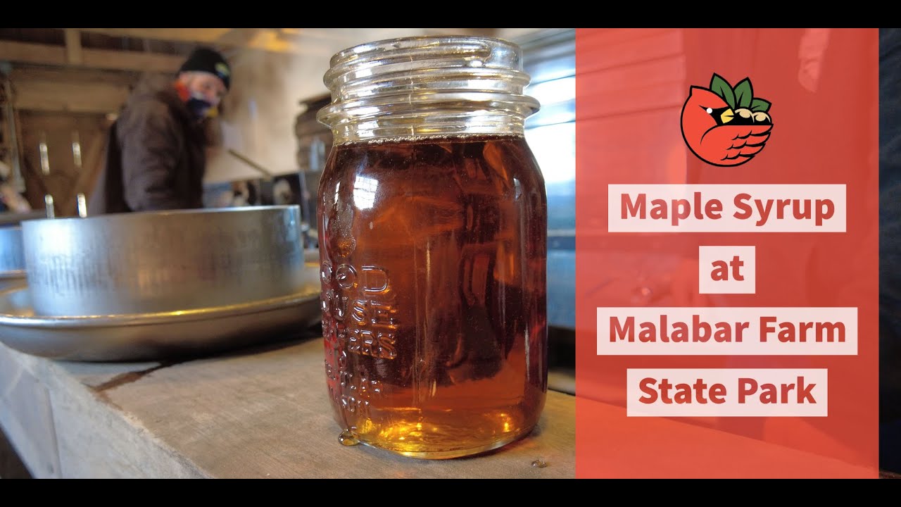 Maple Syrup At Malabar Farm State Park Youtube