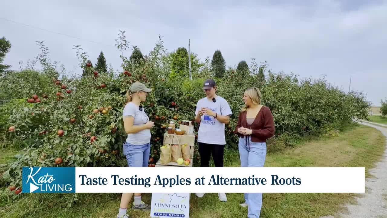 Kato Living Taste Testing Apples At Alternative Roots Youtube
