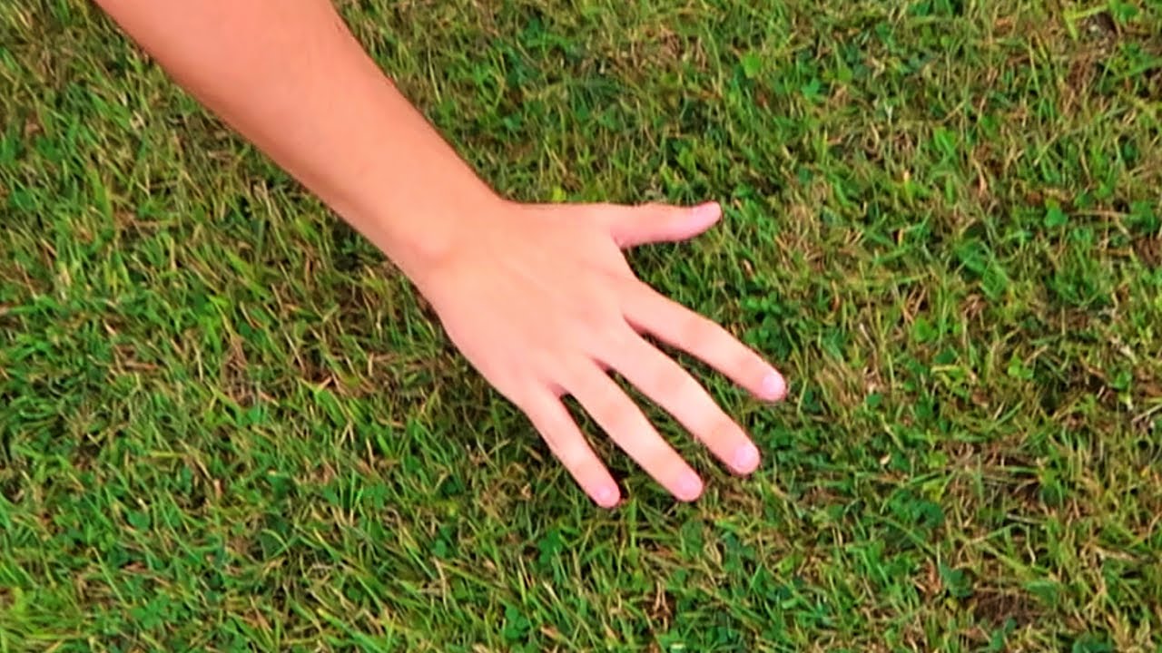 Touching Grass Tutorial Youtube
