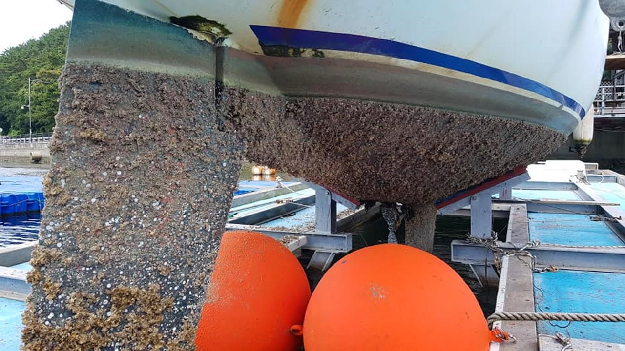 Ingenious Barnacles Removing From Ships And Boat Satisfying Barnacles