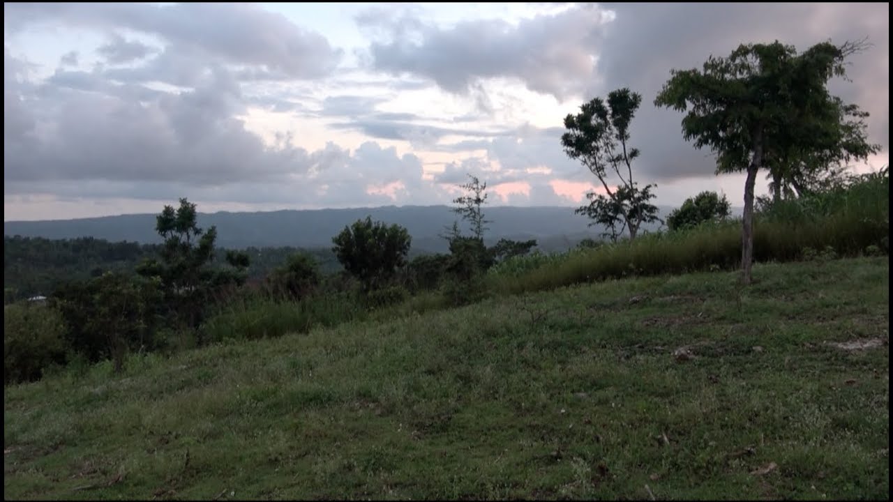 Adoration Live Apotre Ebel Pierre Haiti Youtube