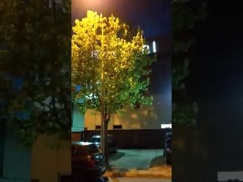 Vid 20200428 Wa0022 Youtube