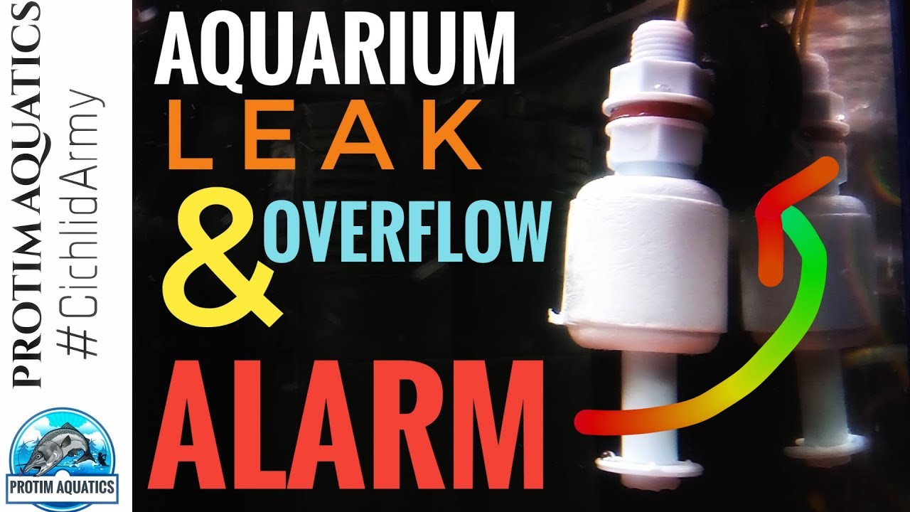 Aquarium Water Leak Alarm And Water Overflow Alarm Diy Youtube