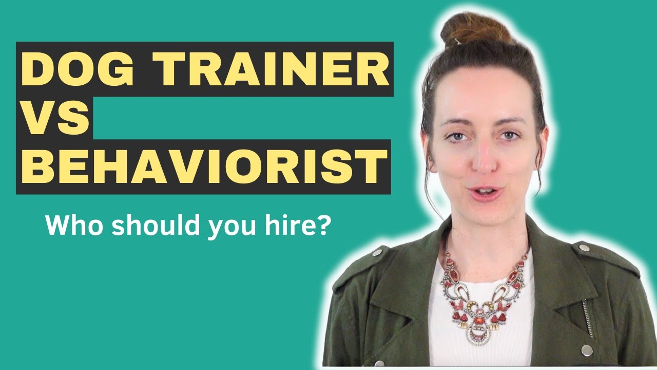 3 Differences Between Dog Trainers And Behaviorists You Need To Know