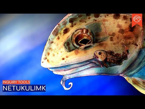 Inquiry Tool Netukulimk Youtube