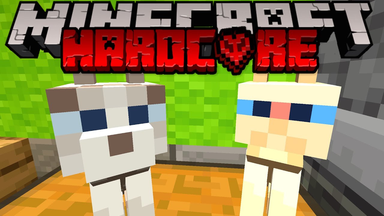 Amici Youtube