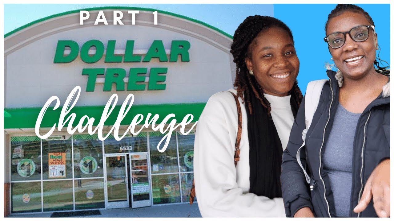 Dollar Tree Challenge Twinaway Q A Part 1 Youtube