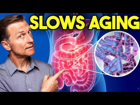 The Microbe That S Secretly Changing Everything About Your Health