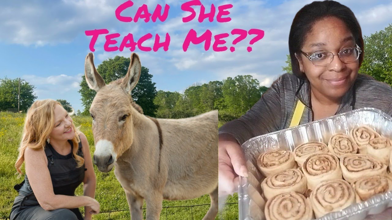 Q A With Aunt Judy Youtube