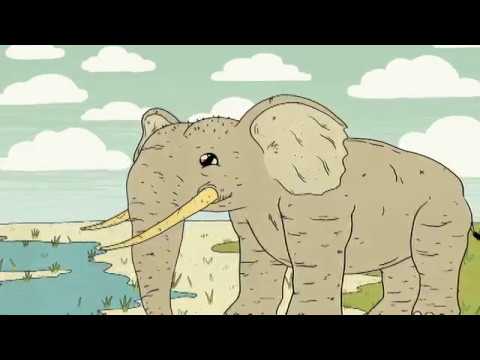 Wild Safari Word Of The Day Trunk Cartoon Nick Jr Youtube