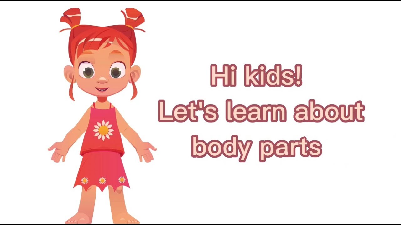 Body Parts Youtube