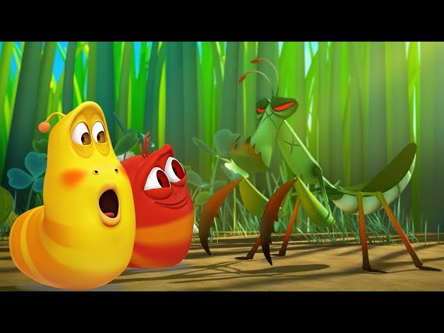 Larva The Adventures Of Baby Larva Cartoons For Children Larva