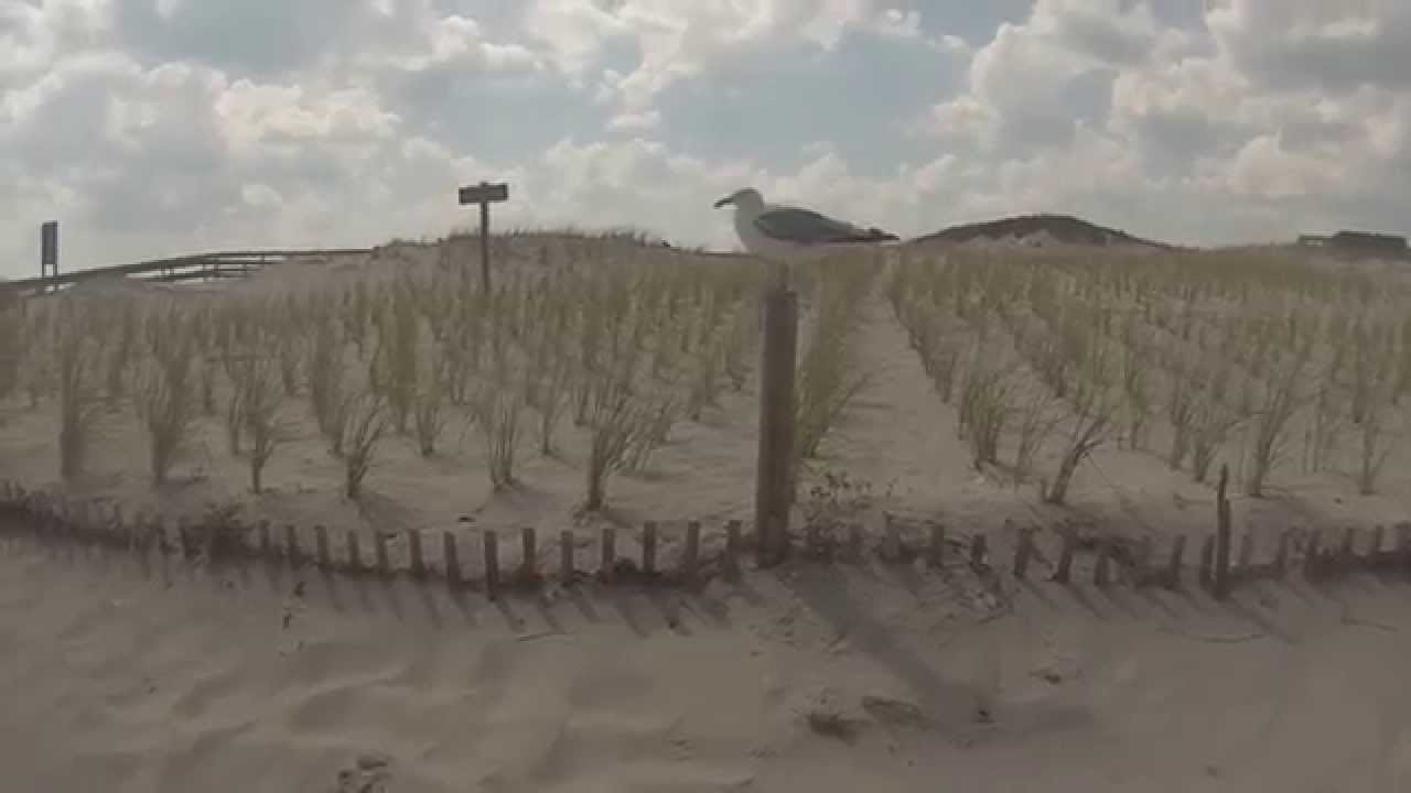 Beach Vlog 2015 Youtube Music