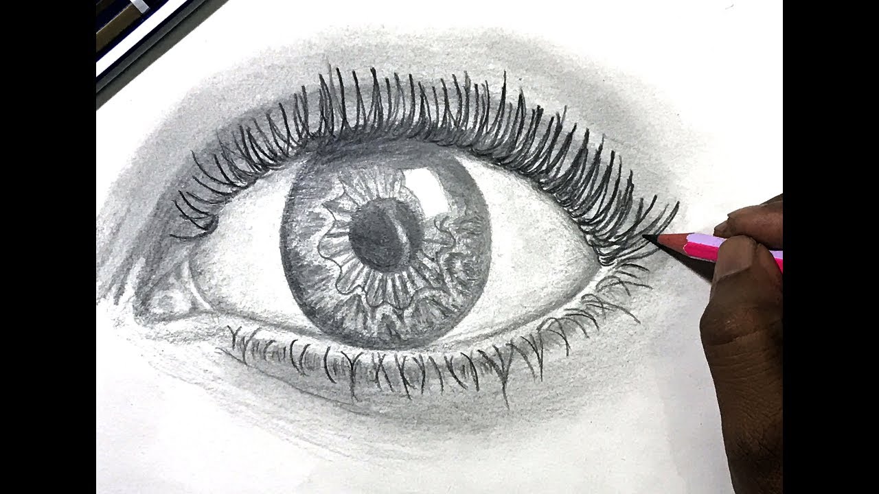 How To Draw Eyes For Beginners Youtube