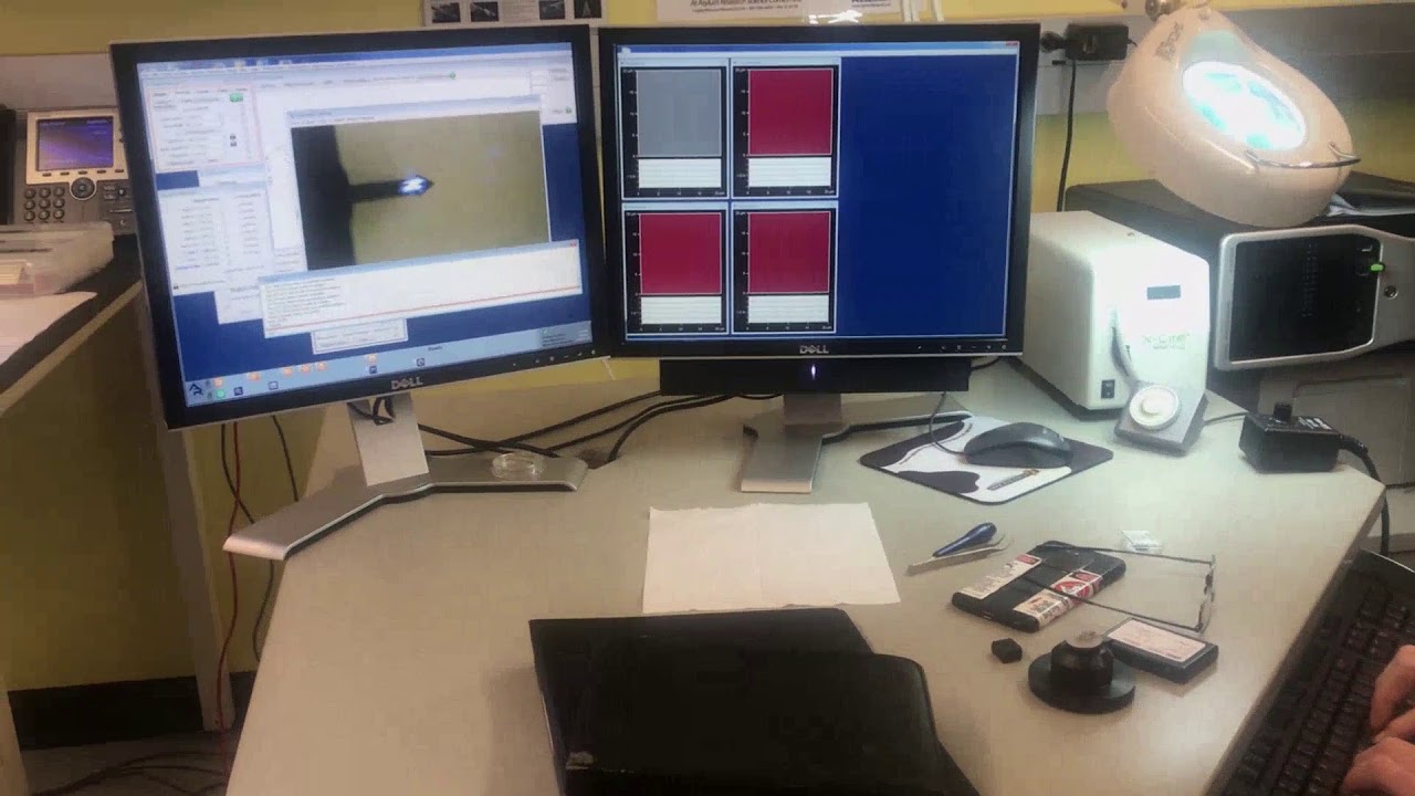 Afm Lab Training Part 3 Substrate Approach And Scanning Youtube