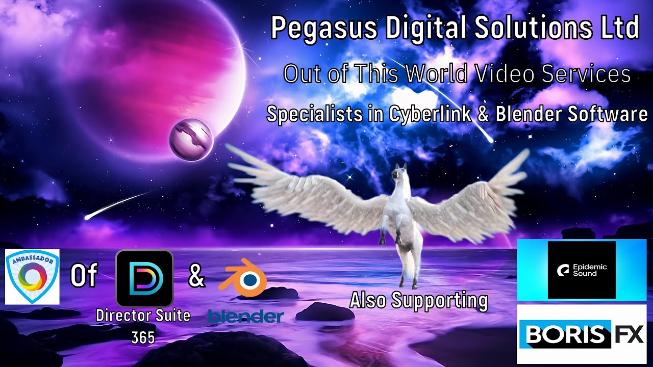 Pegasus Digital Solutions Ltd Intro Video Youtube