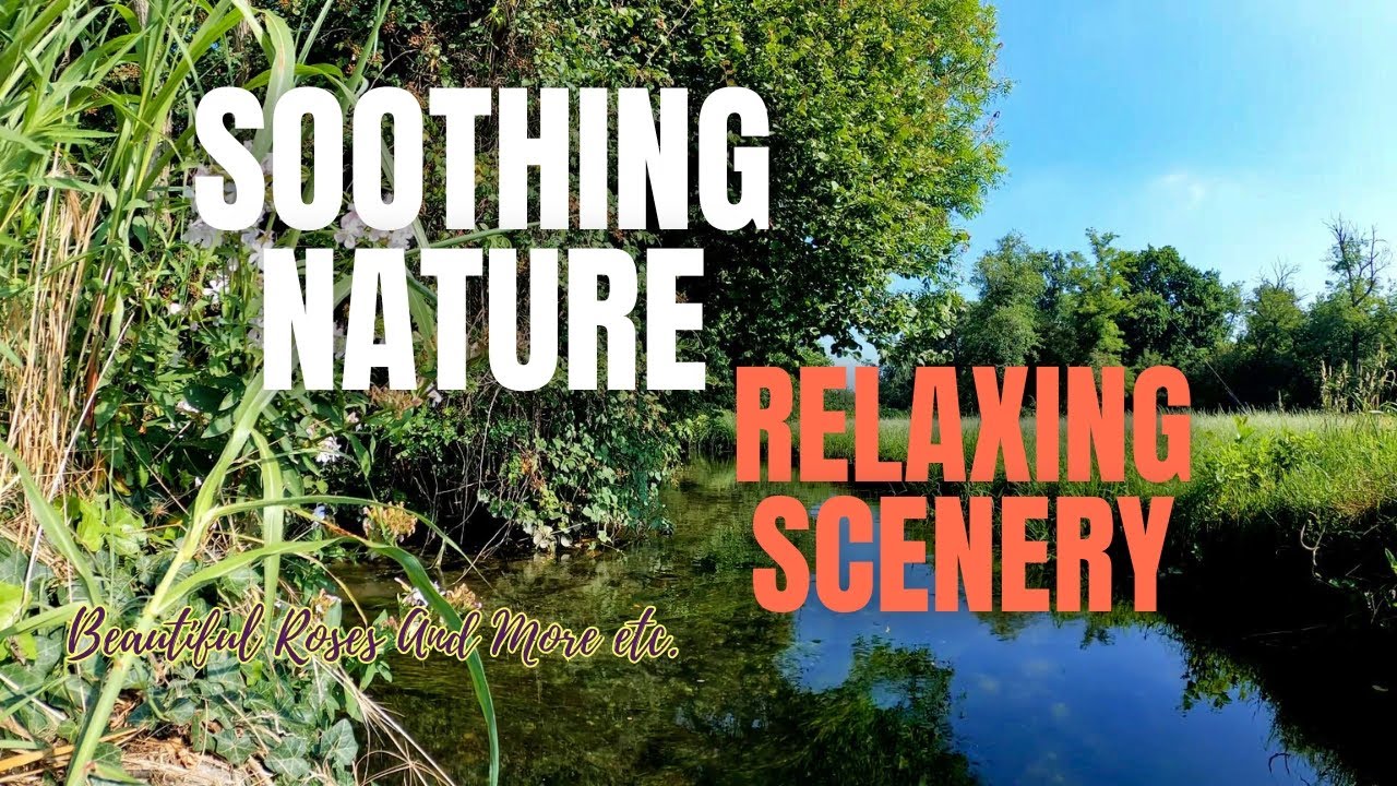 Soothing Nature Relaxing Scenery Youtube