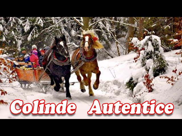 Asta i seara serilor Colinde frumoase traditionale 2023