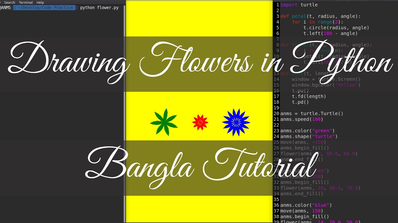 Drawing Flowers In Python Bangla Tutorial Youtube