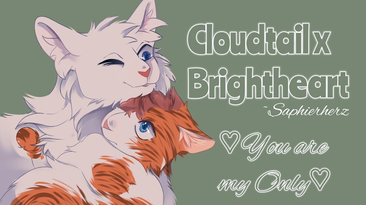 Downôöñ ä Cloudtail X Brightheart Remade Edit Youtube