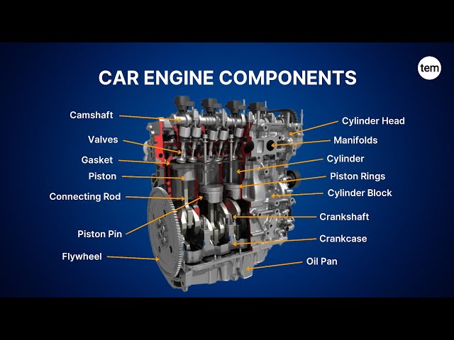 Components Of A Motor Vehicle Engine System Infoupdate Org