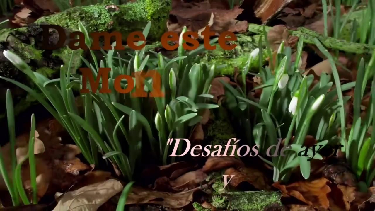 Dame Ese Monte Hd Pista Youtube