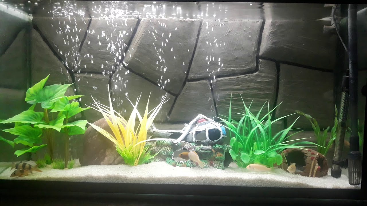Diy Aquarium Background