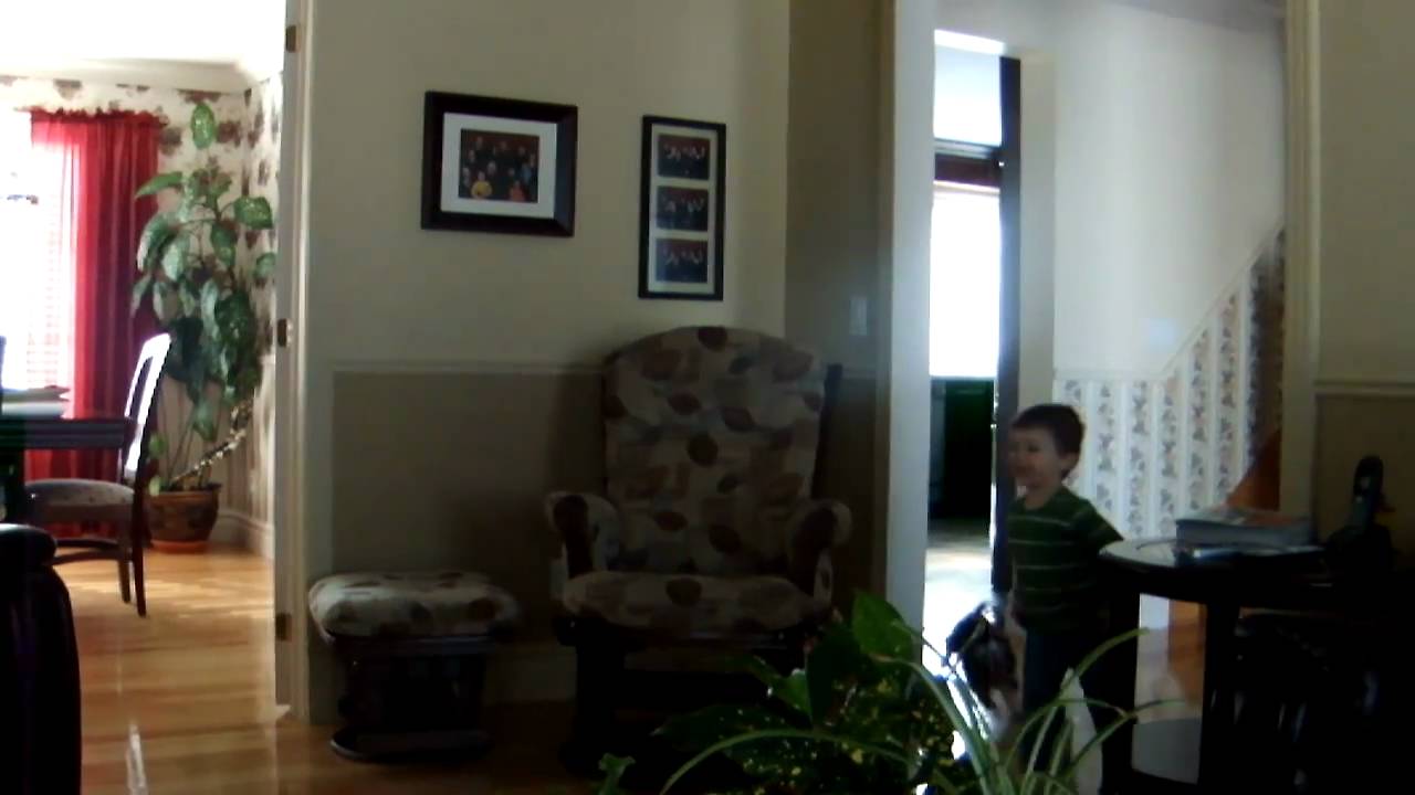 Dscf0962 Youtube