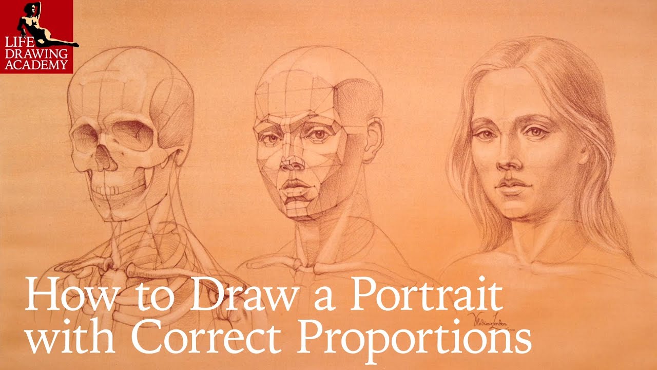How To Draw A Portrait In Proportion