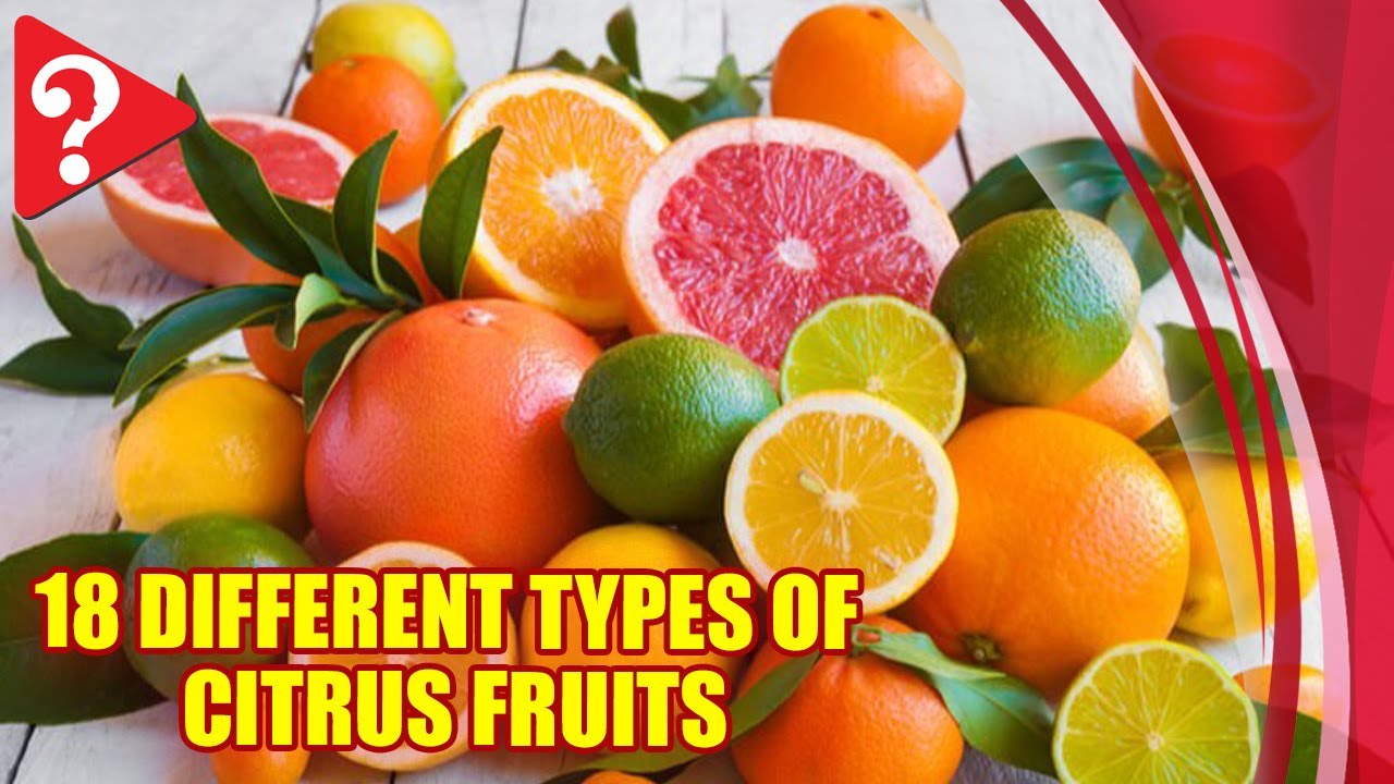 Types Of Citrus Fruits