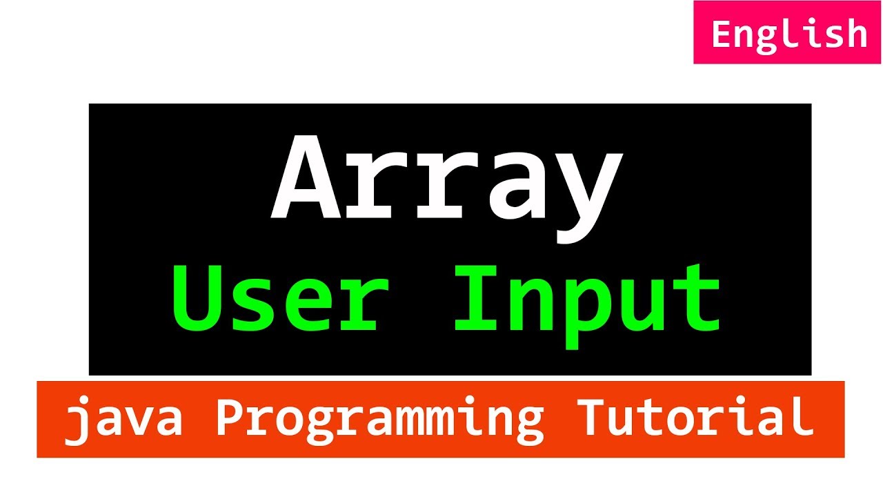 Array User Input Using For Loop Java Programming Tutorial Youtube