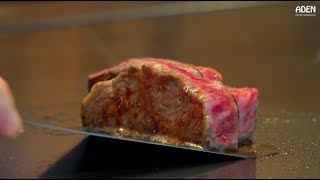 185 Steak Lunch In Tokyo Teppanyaki In Japan Aden Films Mp3 Music & Mp4 ...