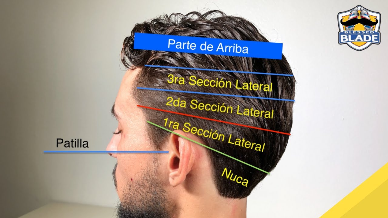 Explicando Las Secciónes Laterales Youtube