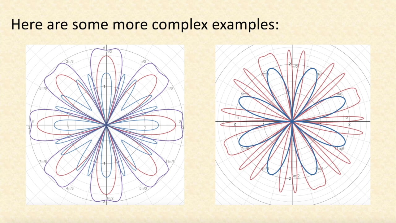 Flower Function Math Best Flower Site