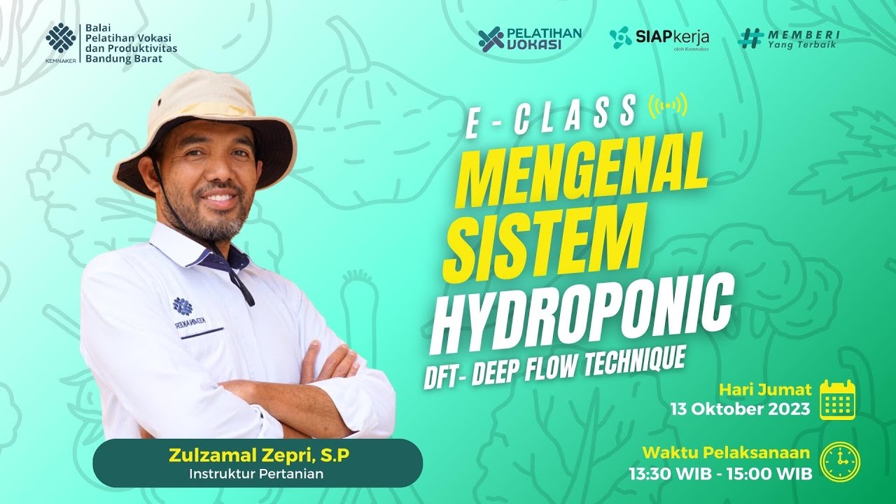 1 E Class Mengenal Sistem Hidroponik Dft Deep Flow Technique Youtube