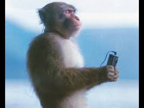 Test Youtube