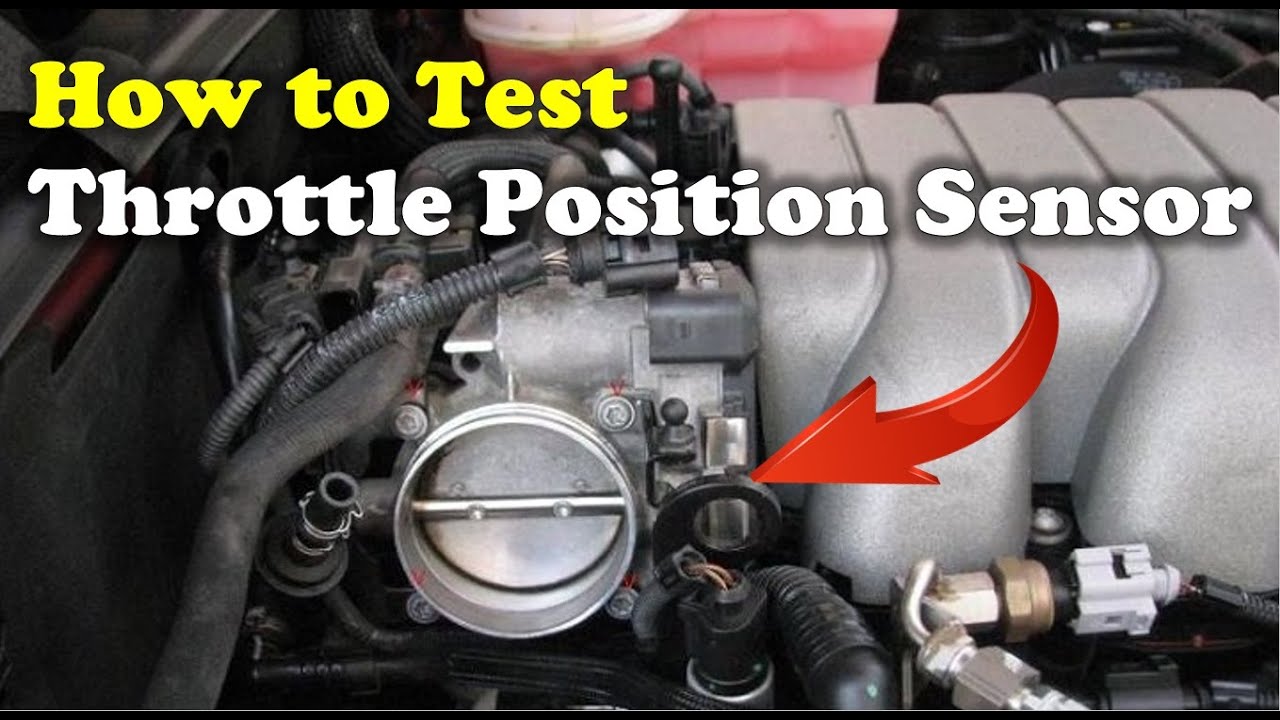 How To Test Throttle Actuator Control Module At Mary Reilly Blog