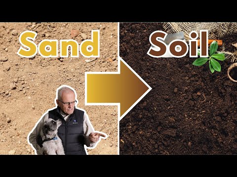 How To Turn Sand Into Garden Soil